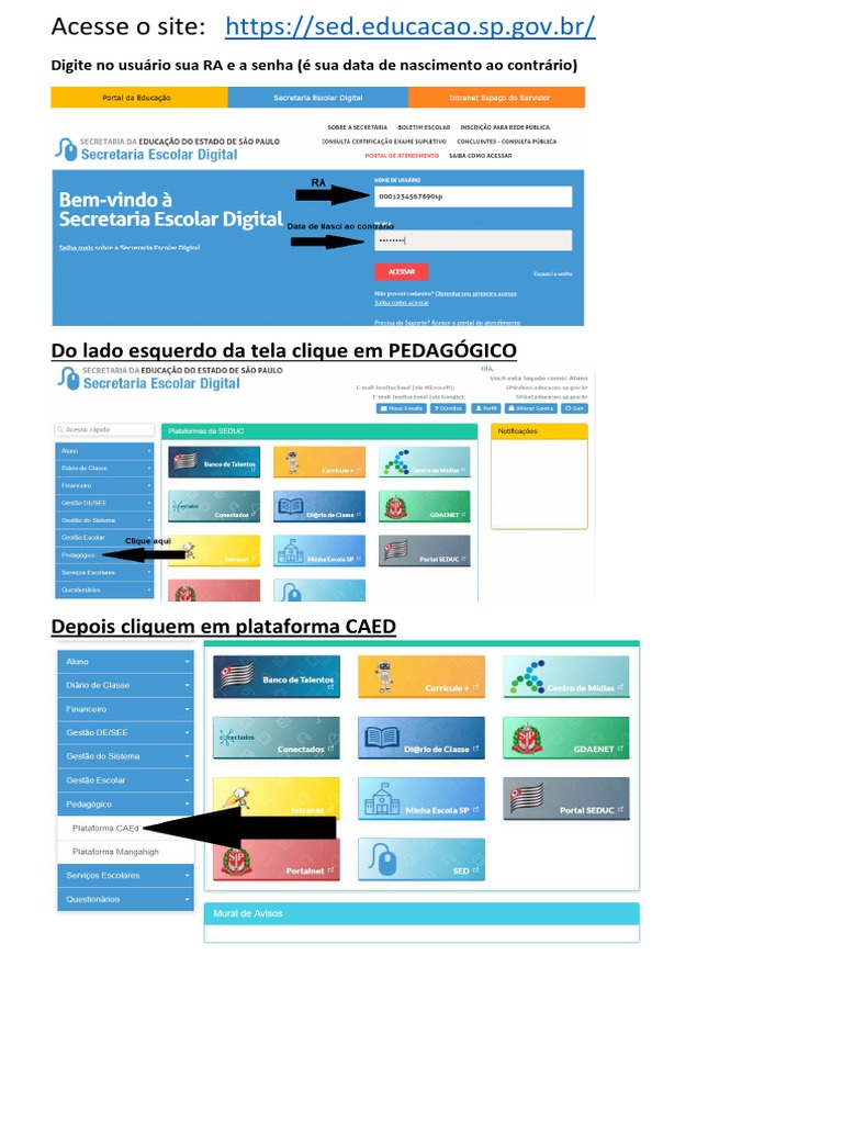 Como Acessar o CAED | PDF