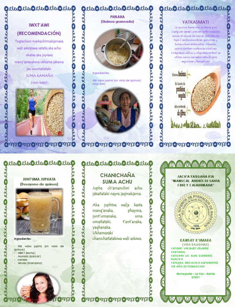 Triptico e Aymara | PDF | Comida y bebida