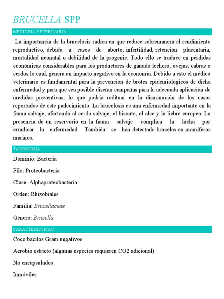 Brucella SPP | PDF | Biología | Especialidades Medicas