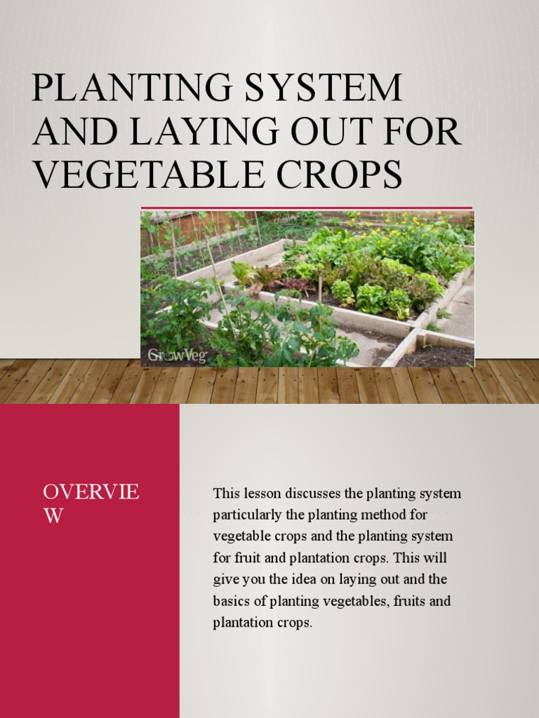 Planting System and Laying Out | PDF | Vegetables | Foods