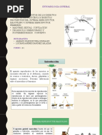 Evolución de Insectos: Cronología y Origen | PDF | Insectos | Escala de ...