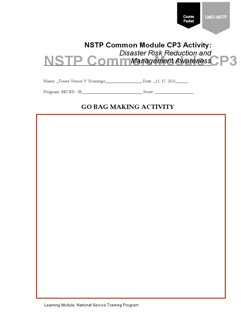 (DOMINGO) DRRM Awareness - Go Bag Activity Sheet | PDF