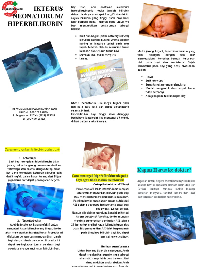 Leaflet Icterus | PDF