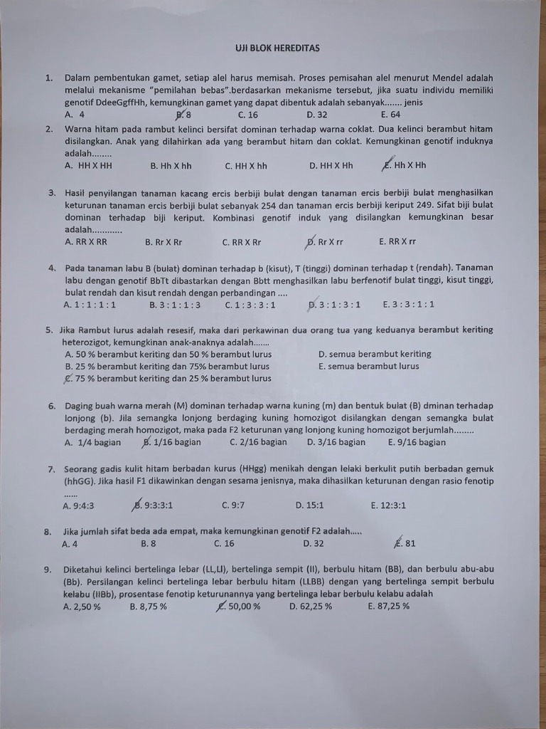 Khaliz Rakhbar H. Kelas XII MIPA 4 Uji Blok Hereditas Hukum Mendel ...