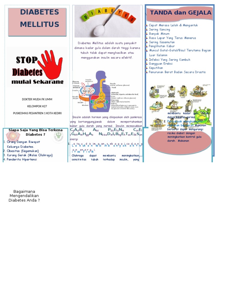 LEAFLET DM Docx Dikonversi | PDF