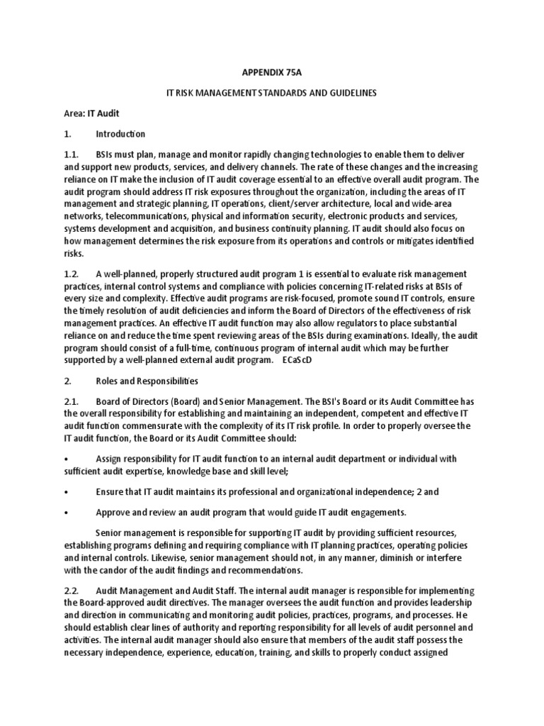 IT Risk Management Audit Guidelines | PDF | Internal Audit | Audit
