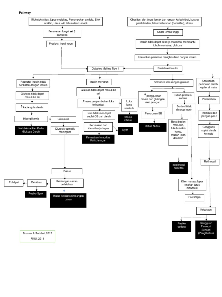 Pathway DM Tipe 2 Salinan | PDF