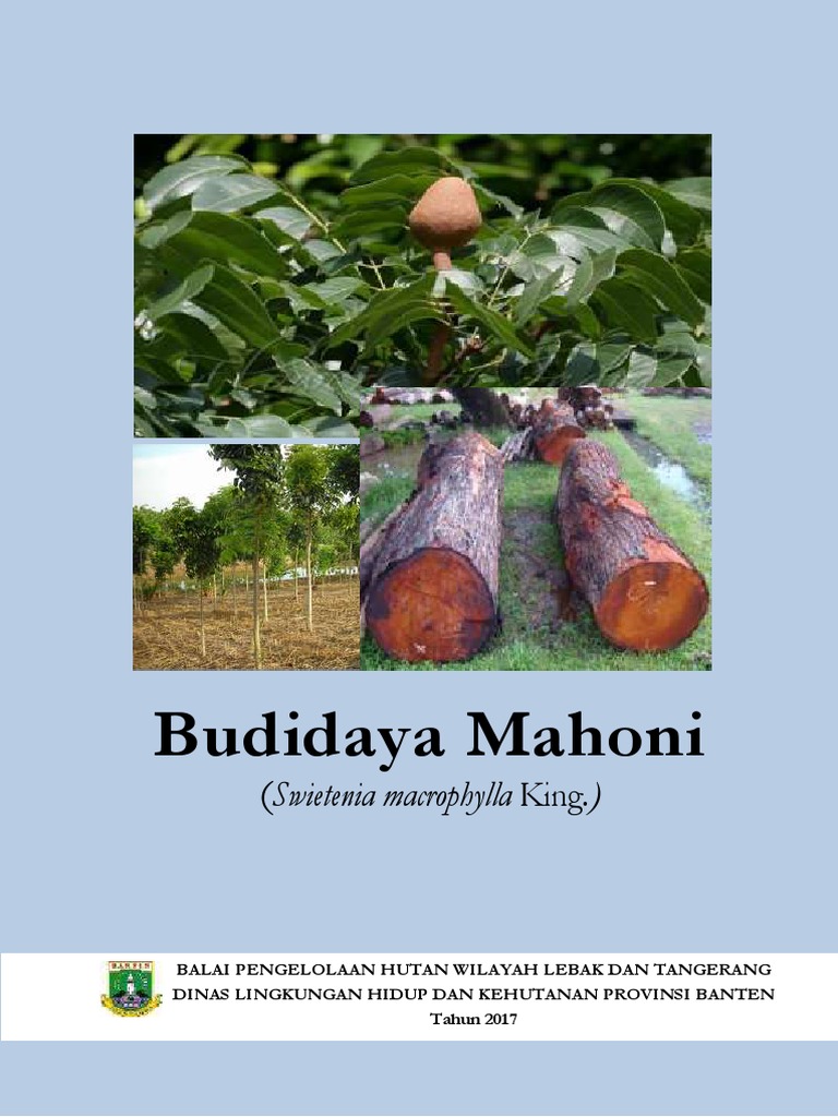 Panduan Budidaya Pohon Mahoni | PDF | Sains & Matematika