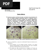 Diaz Apaza Anthony Jesus-Diascopia - Vitropresion | PDF ...