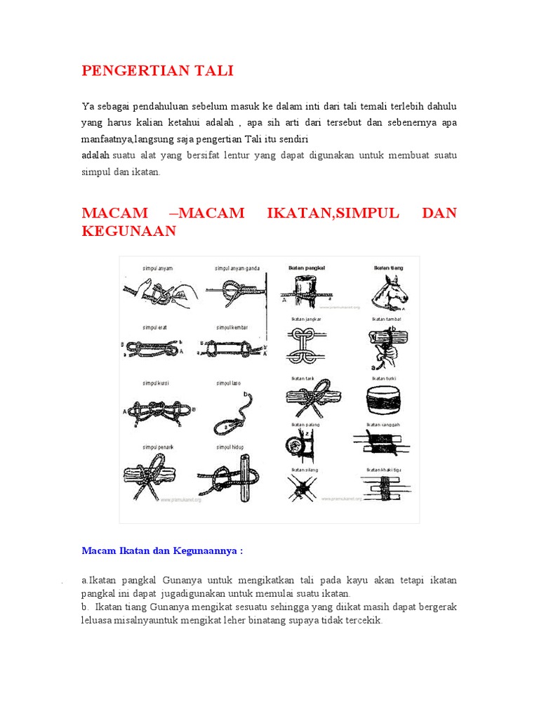 Macam-Macam Ikatan Tali dan Kegunaannya | PDF