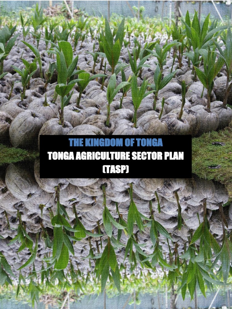 Tonga TASP Summary Paper | PDF | Agriculture | Climate Resilience