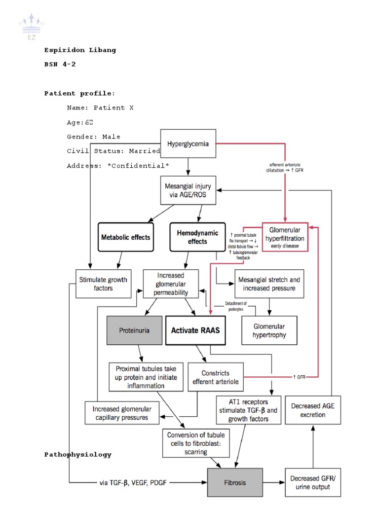 CKD Case Study | PDF | Hyperglycemia | Hypoglycemia