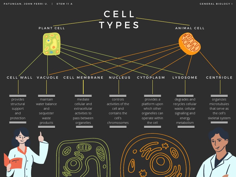 Understanding Cell Structures and Functions | PDF