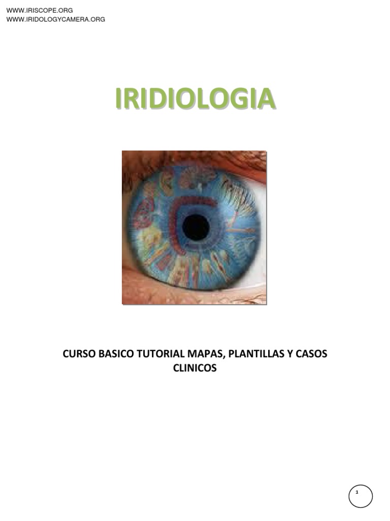 Iridología BASICO TUTORIAL MAPAS PLANTILLAS Y CASOSCLINICOS | PDF | Ojo ...