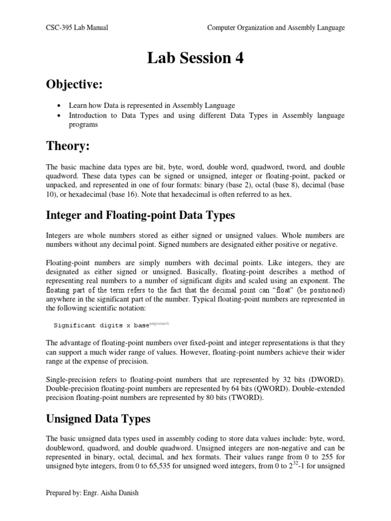 An Introduction to Data Types in Assembly Language Programming | PDF | Integer (Computer Science ...