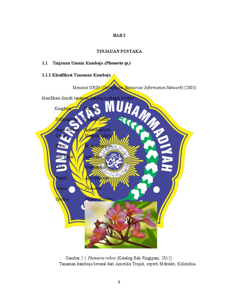 Bab 2 Pdf Sains And Matematika 