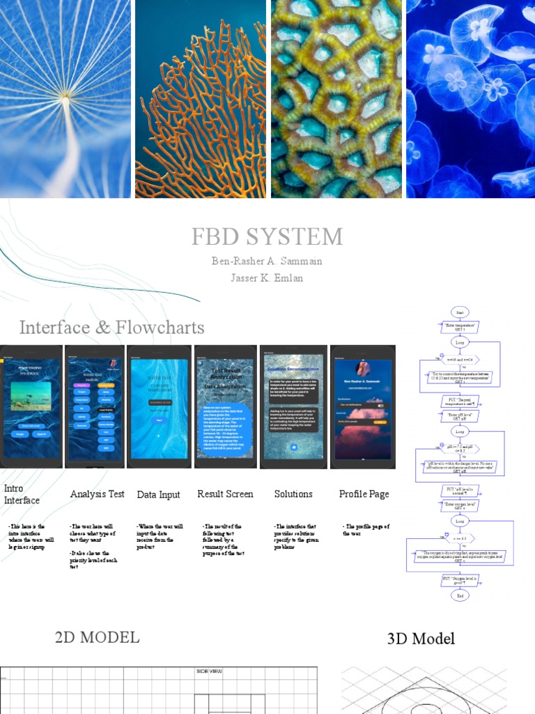 FBD System: Ben-Rasher A. Sammain Jasser K. Emlan | PDF