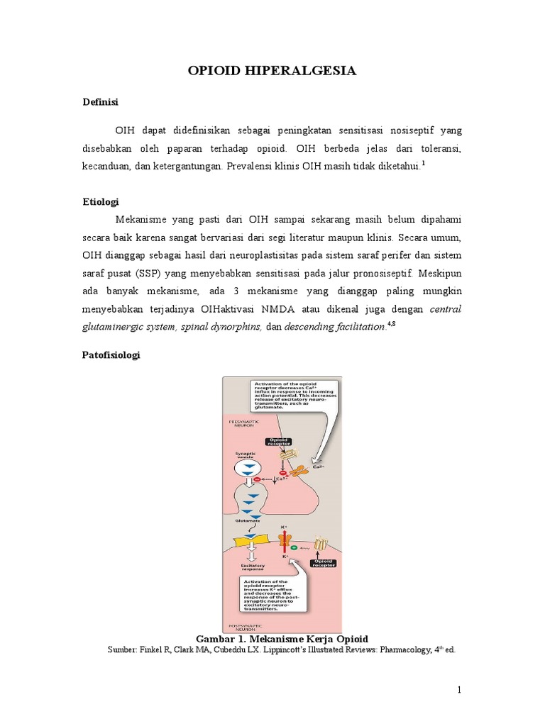 Mekanisme dan Penanganan Hiperalgesia Opioid | PDF