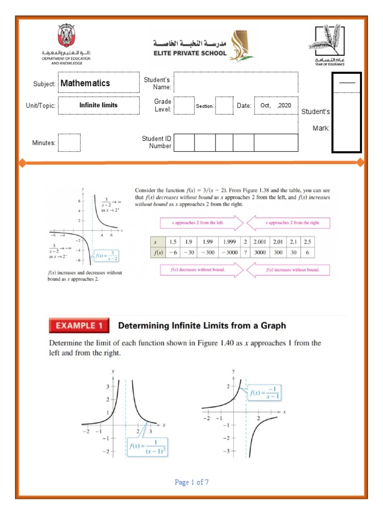 Mathematics: Infinite Limits | PDF