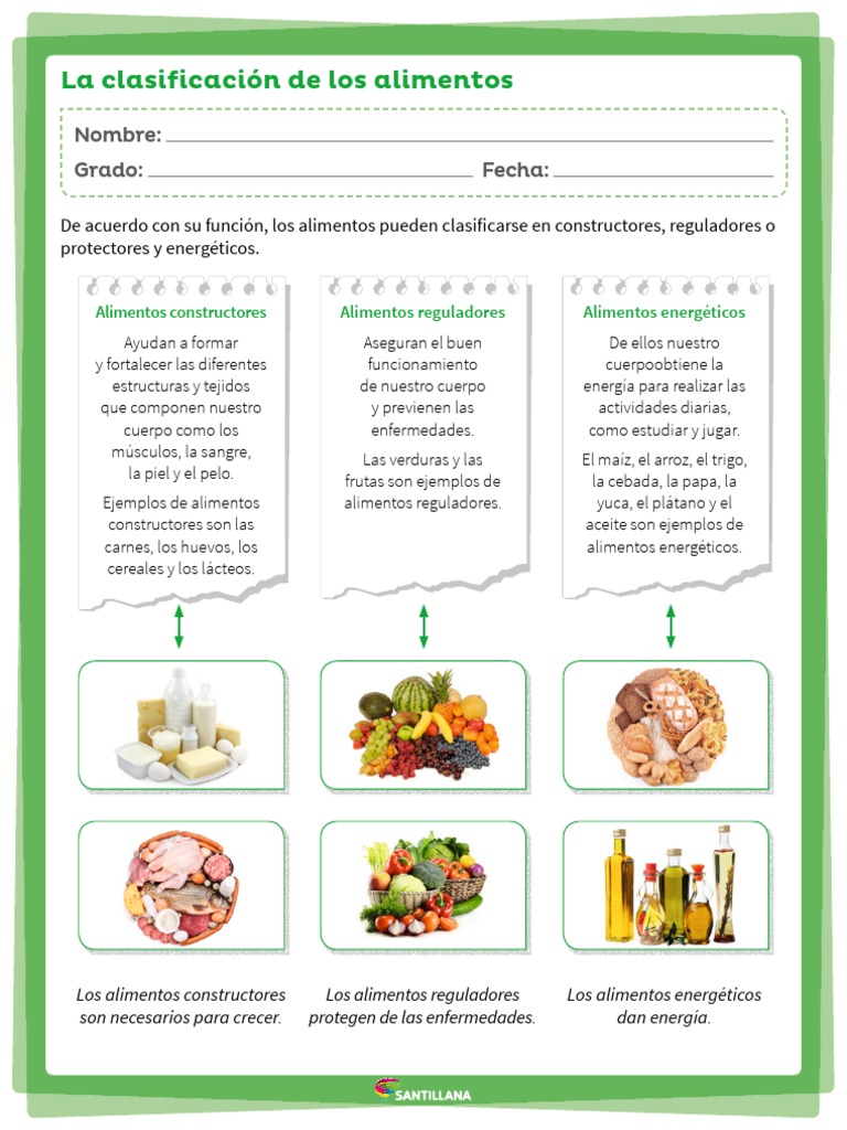 Clasificación de Los Alimentos | PDF