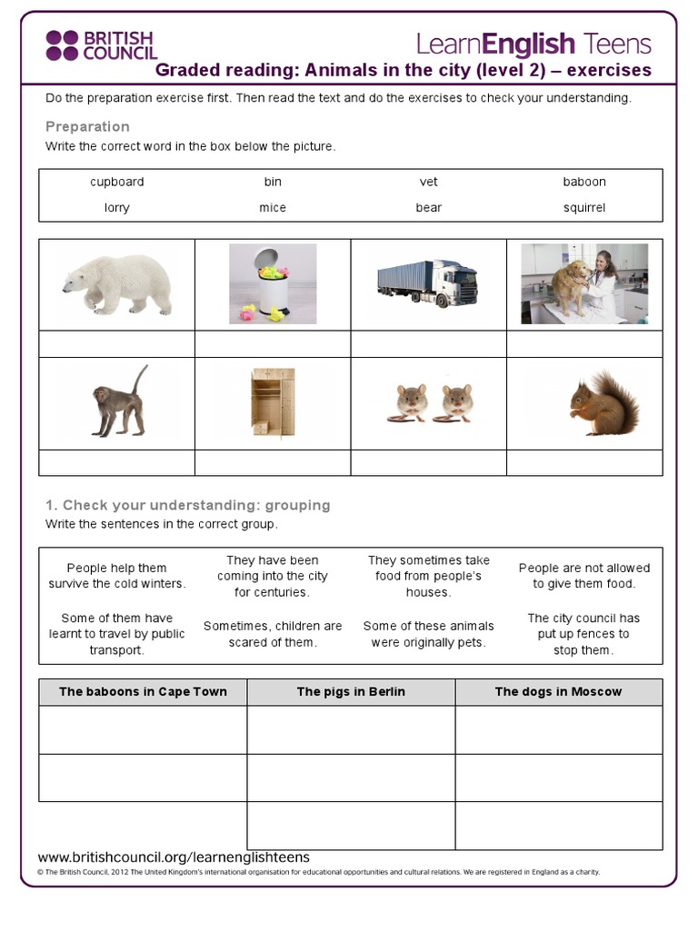 Animals in The City Level 2-Exercises 4 | PDF