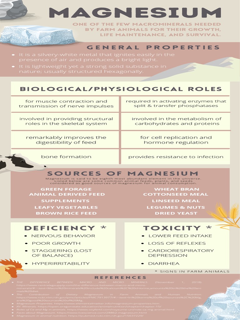 Magnesium | PDF | Magnesium | Human Nutrition