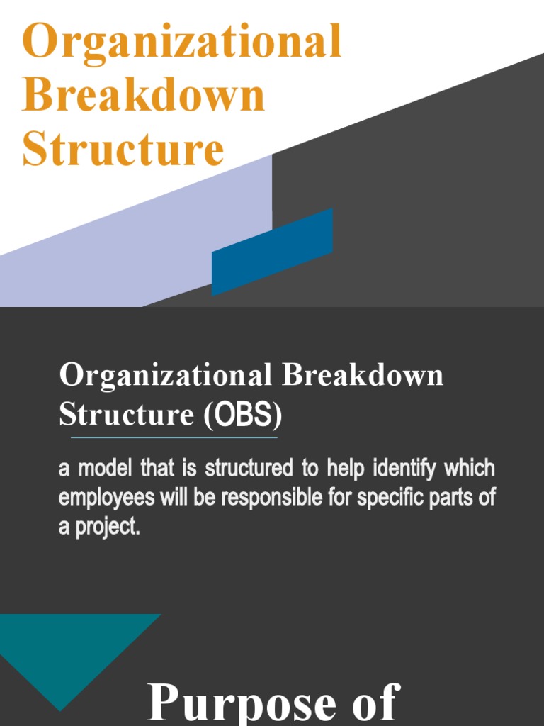 Organizational Breakdown Structure | PDF | Procurement | Economies