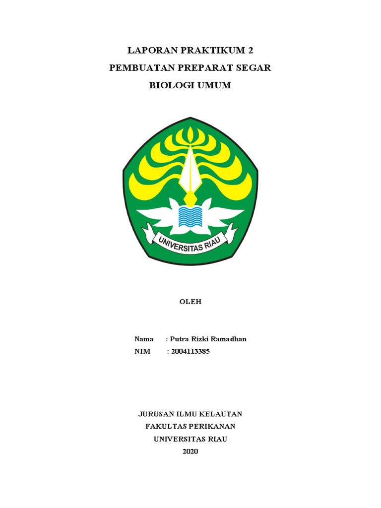 Laporan Praktikum 2 | PDF