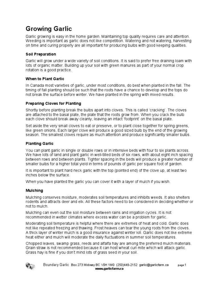 Growing Garlic | PDF | Garlic | Mulch