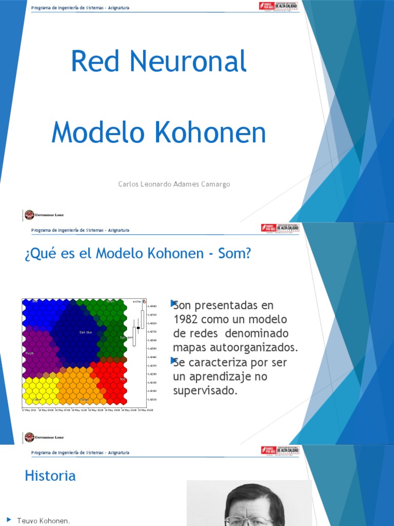 Modelo Kohonen: Redes Autoorganizadas | PDF | Red neuronal artificial ...