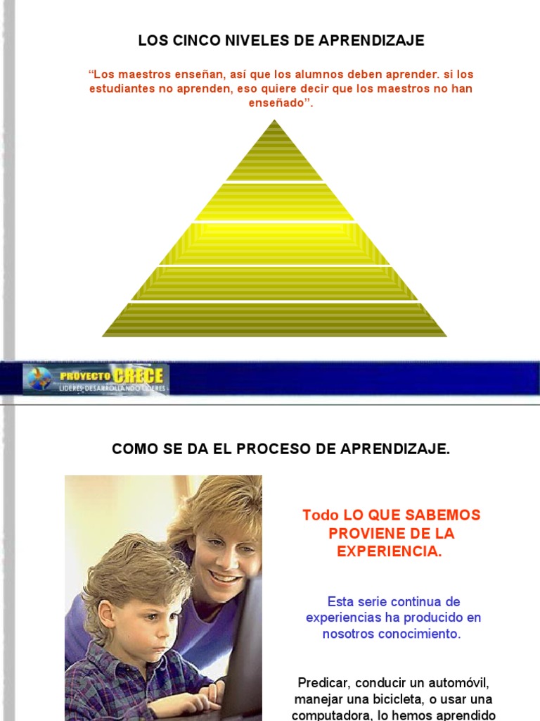 Los 5 Niveles Del Aprendizaje | PDF | Aprendizaje | Conocimiento