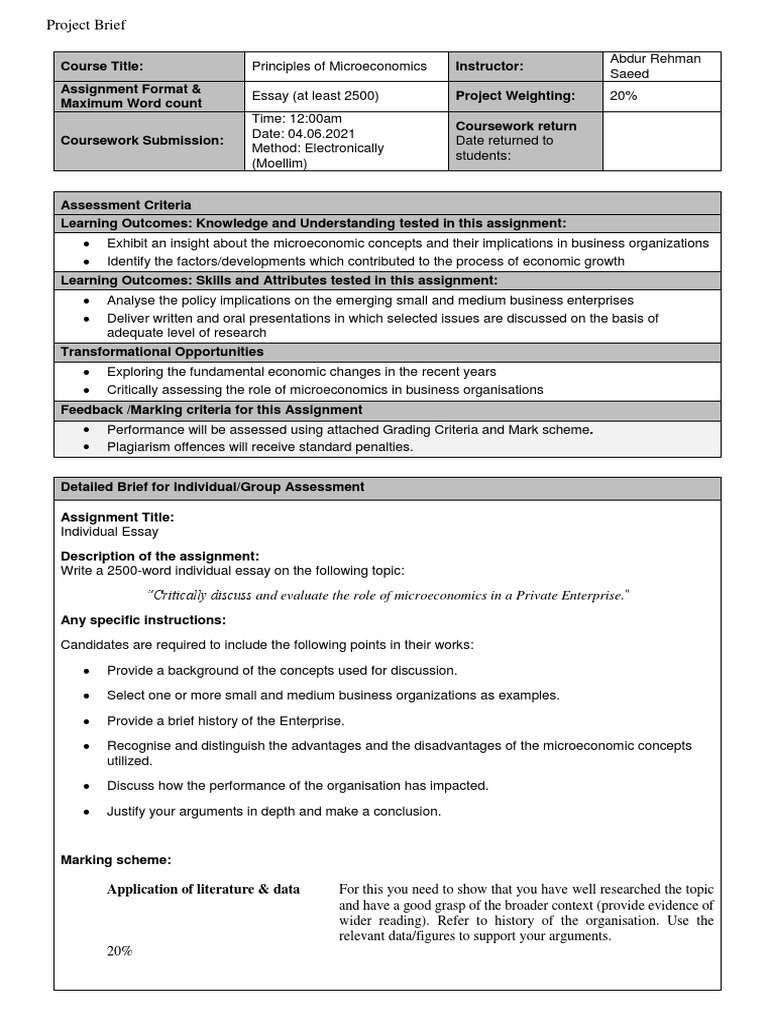 Microeconomics Final Project | PDF | Essays | Educational Assessment