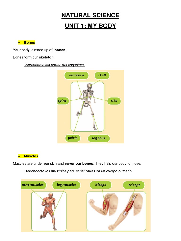 Natural Science Review | PDF