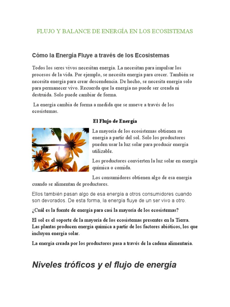 Flujo de Energía en Ecosistemas | PDF | Ecosistema | Naturaleza