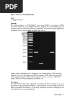 Bacteriological Analytical Manual (BAM) - FDA | PDF | Polymerase Chain ...