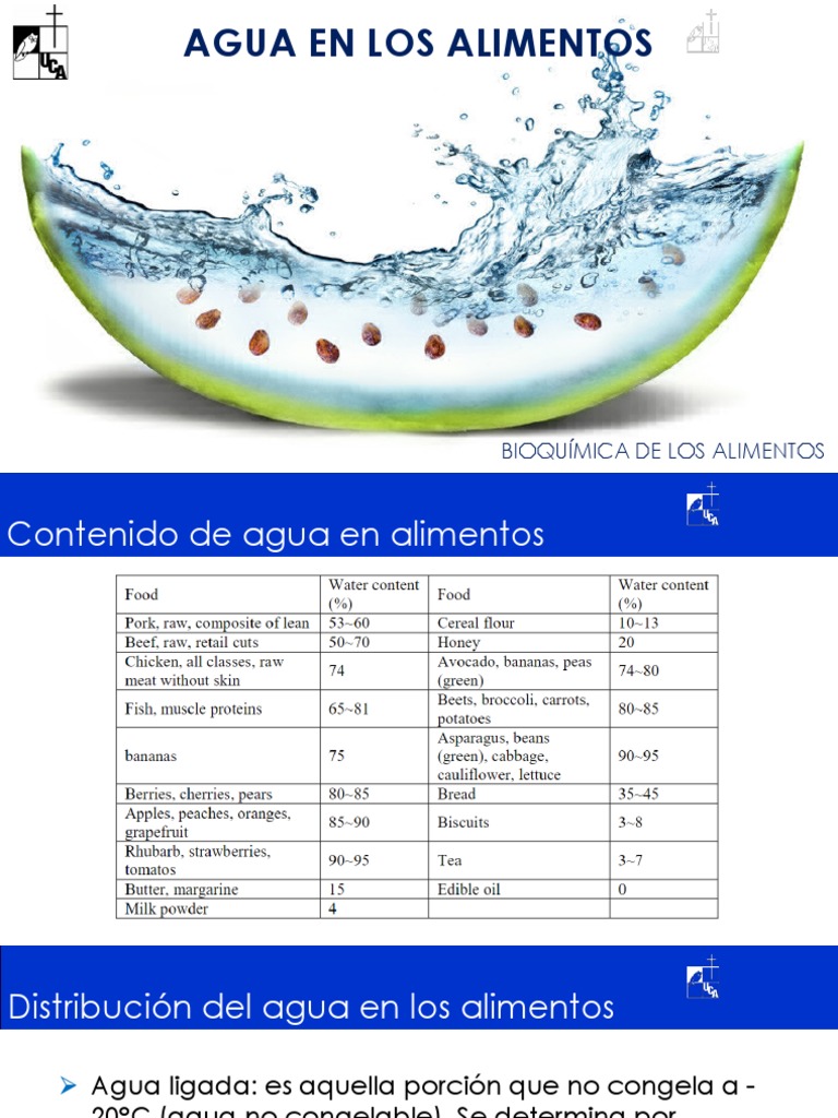 Agua en Los Alimentos | PDF | Agua | Humedad