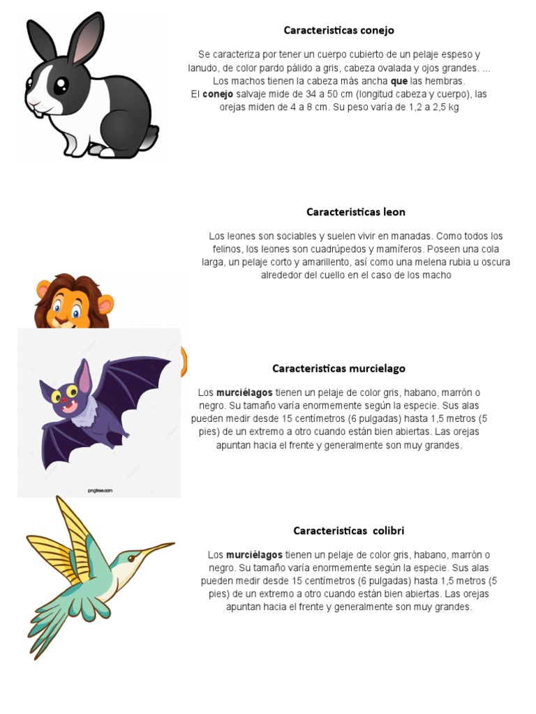 Características físicas de varios animales | PDF | Murciélago | Aves