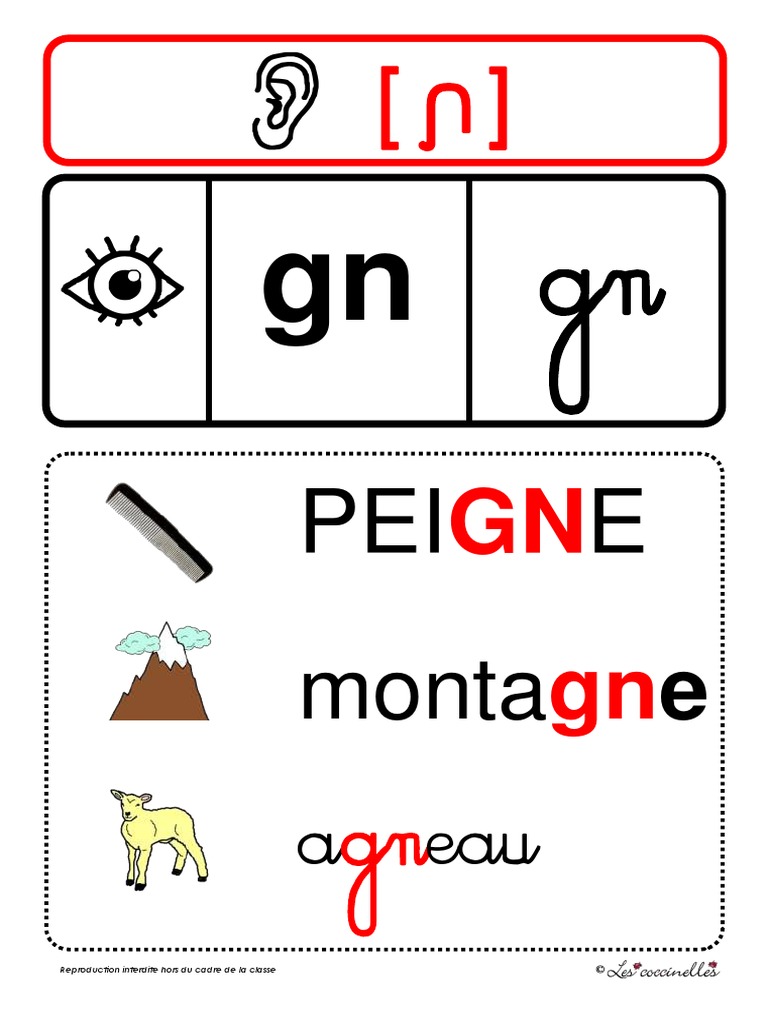 Exercices sur le son "gn" pour CP | PDF