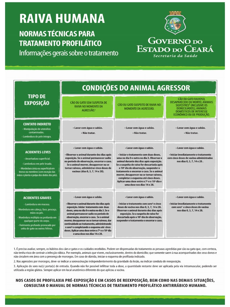 Protocolo Tratamento Raiva | PDF