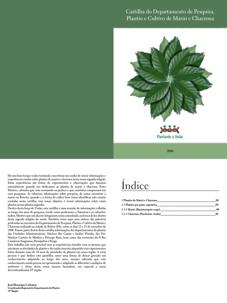 Cartilha Plantio e Cultivo de Mariri e Chacronaa | PDF | Plantas | Solo