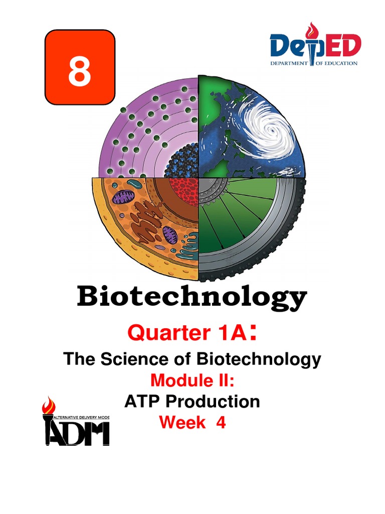 Gr8 Biotech Q1 WK4 | PDF | Photosynthesis | Cellular Respiration