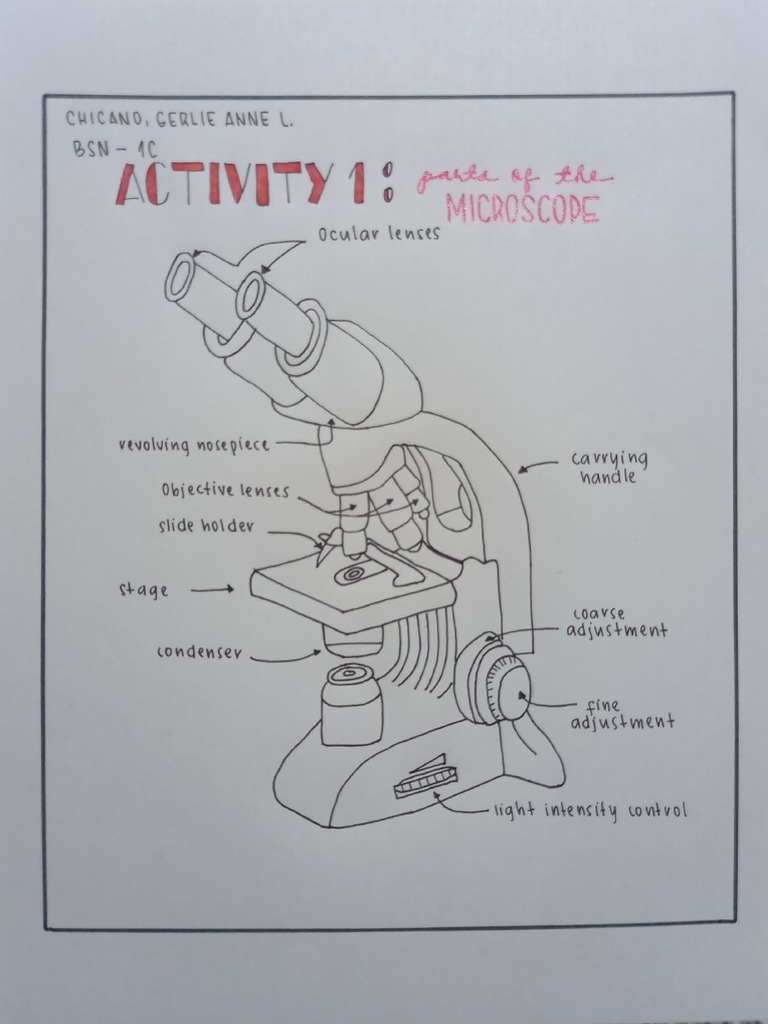 ACTIVITY 1. Parts of The Microscope | PDF