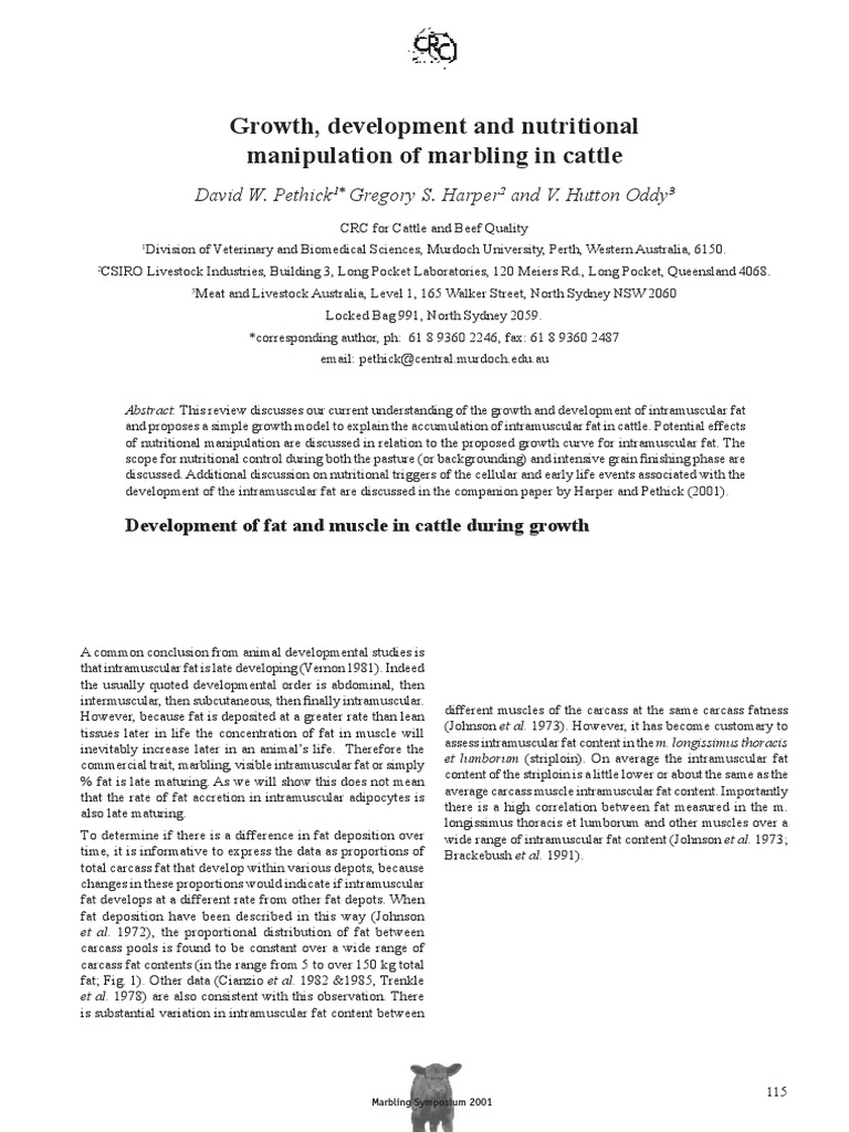 Marbling in Cattle | PDF | Adipose Tissue | Fat