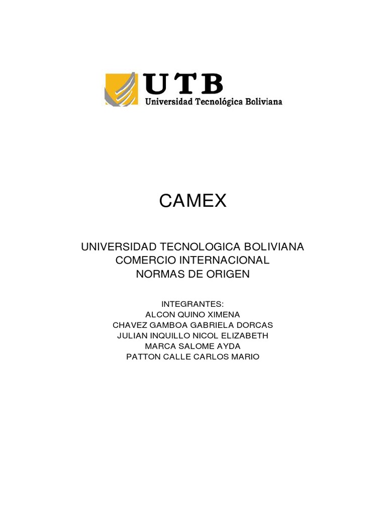 Mapa Conceptual Camex 1 Pdf Comercio Procesos De Negocio