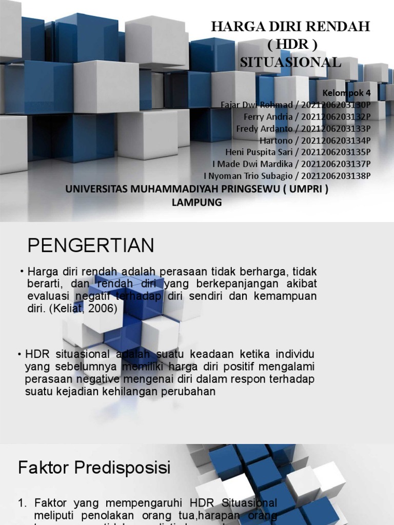 HDR SITUASIONAL Kelompok3 | PDF