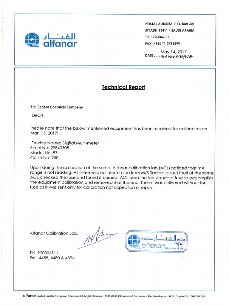 ACL Inspection Report | PDF