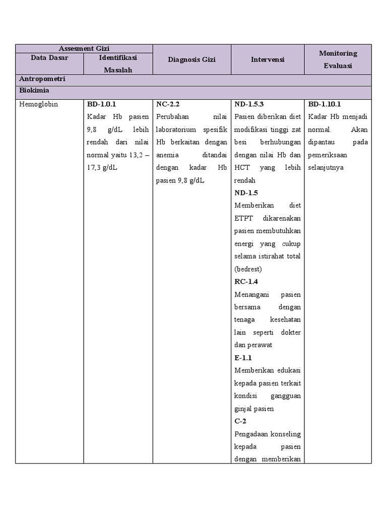 NCP Fisik Klinis | PDF