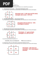 Dihybrid Cross Worksheet Answer Key | PDF