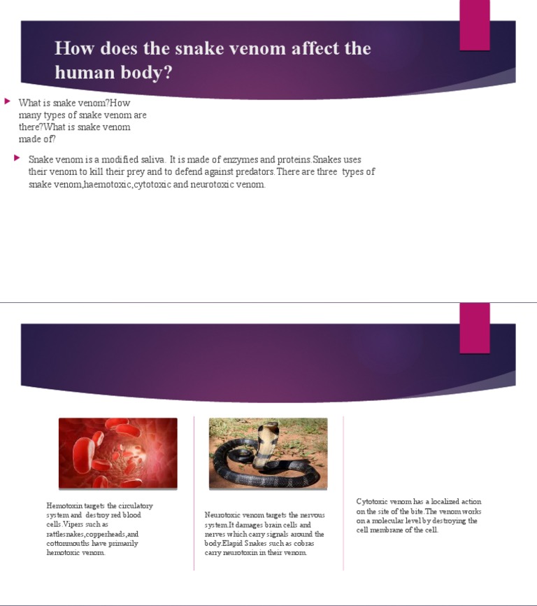 How Does The Snake Venom Affect The Human Body? | PDF