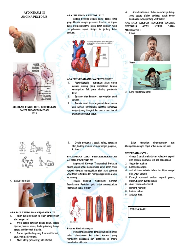 Leaflet Angina Pectoris | PDF